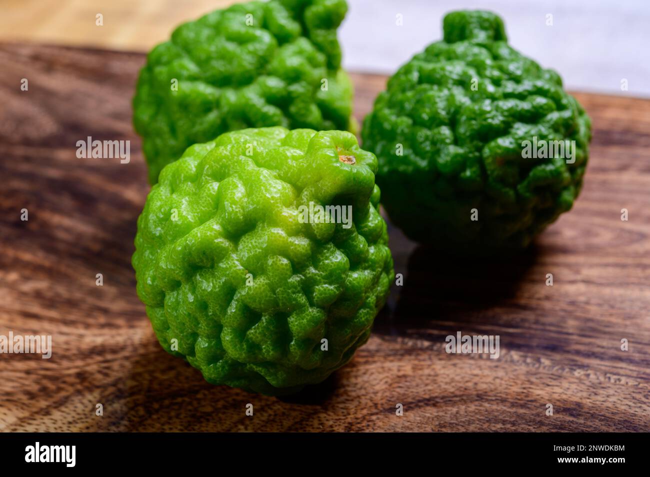 Citrus hystrix, green kaffir lime or makrut lime, citrus fruit native ...