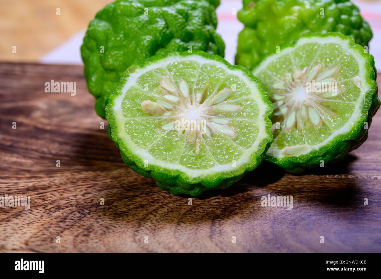 Citrus hystrix, green kaffir lime or makrut lime, citrus fruit native ...