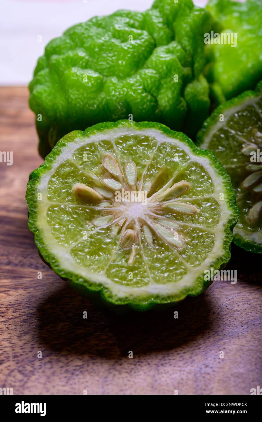 Citrus hystrix, green kaffir lime or makrut lime, citrus fruit native ...