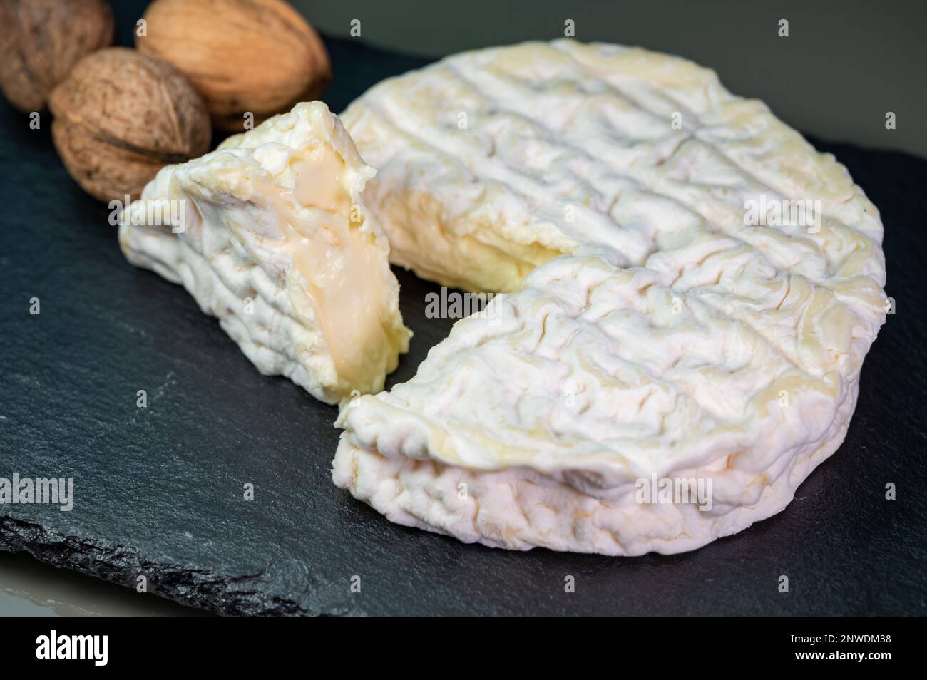 French cheeses collection, Saint-Félicien cow's milk cheese with white ...