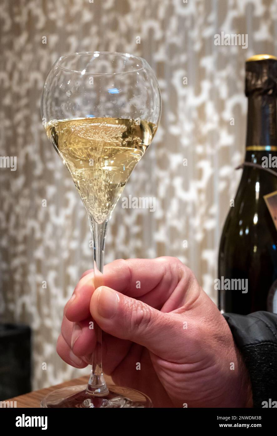 Tasting glass with cold brut Champagne sparkling wine in cellars of ...