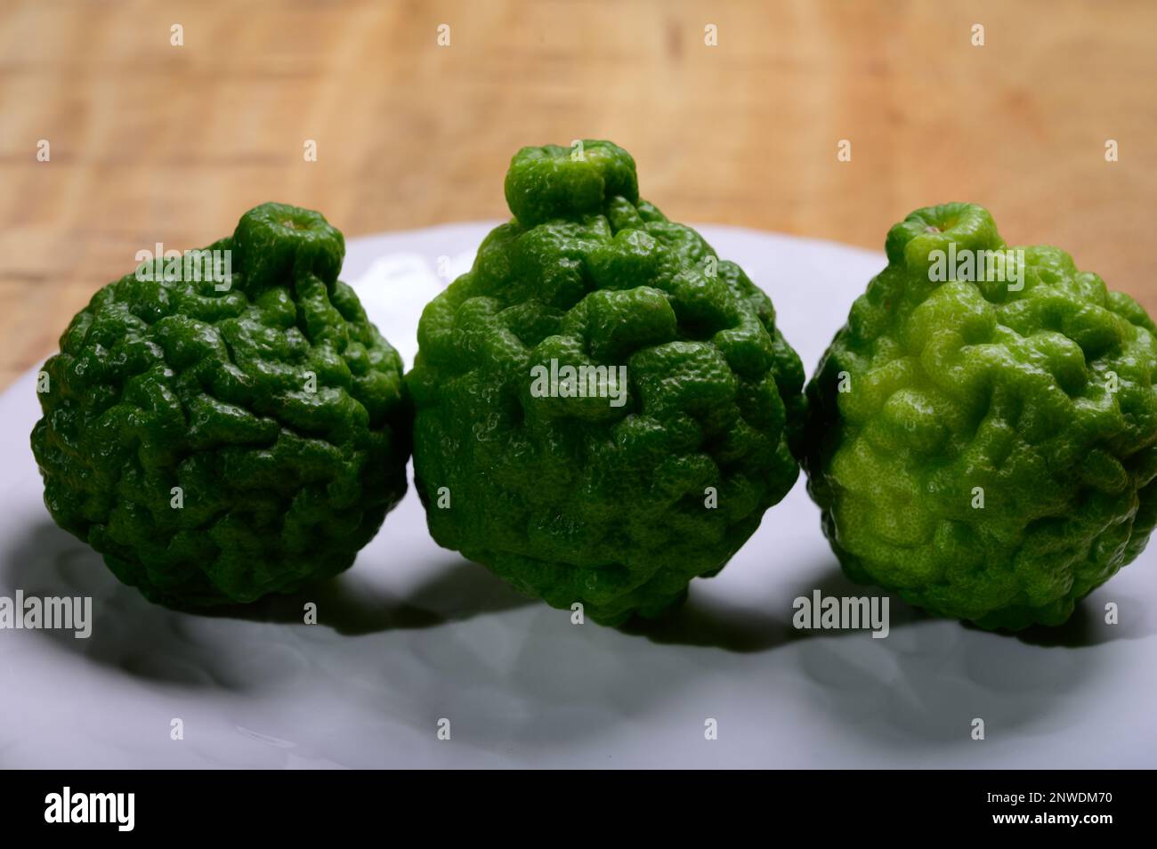 Citrus hystrix, green kaffir lime or makrut lime, citrus fruit native ...