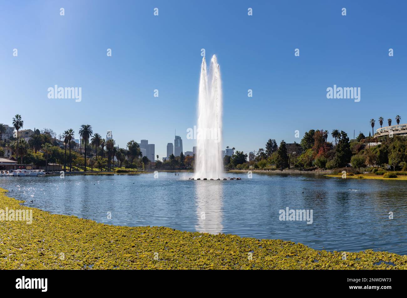 A picture of the Echo Park Lake and its geiser shooting from the middle ...