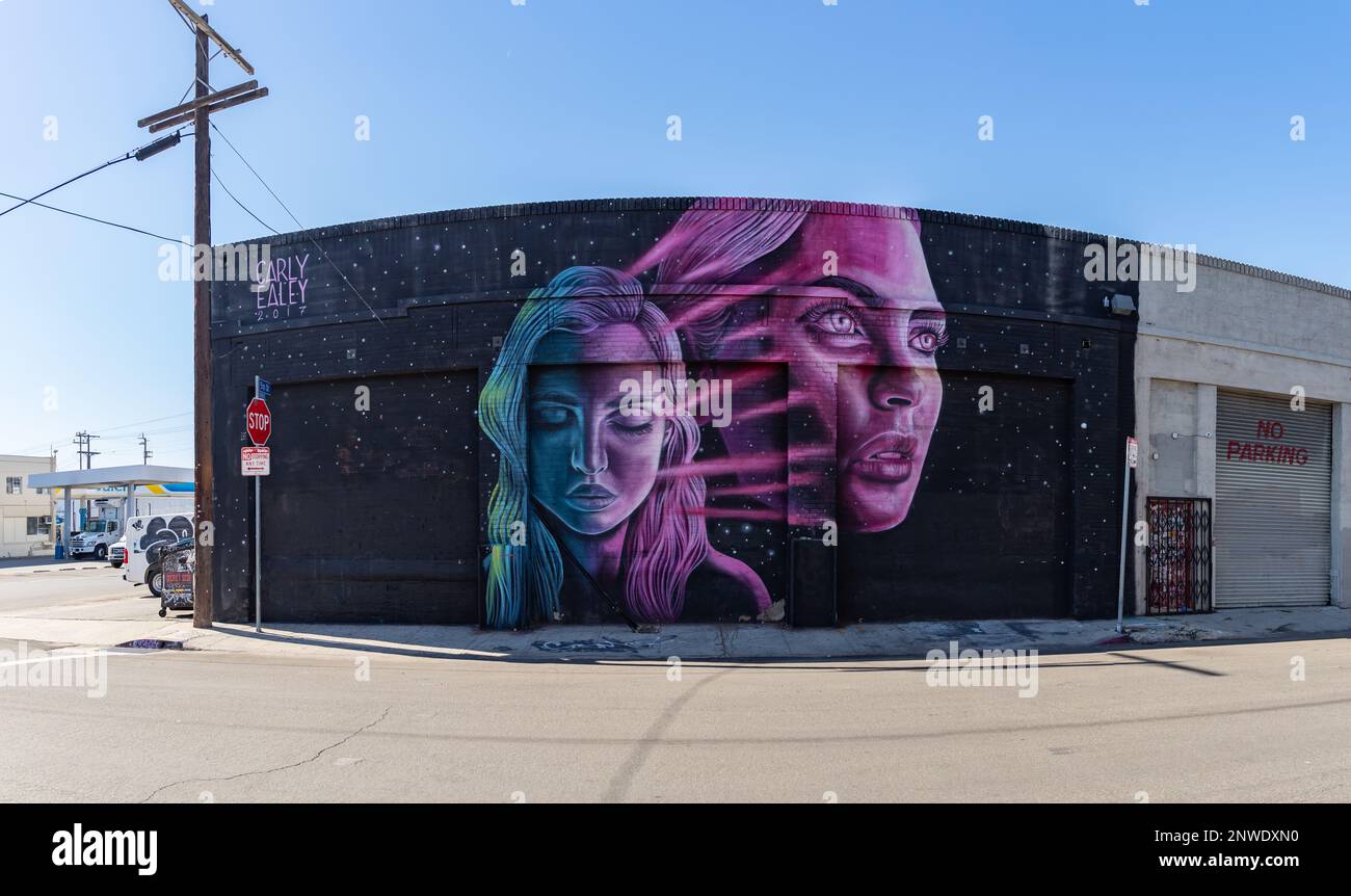 A picture of a mural created in 2017 by Carly Ealey, part of the ...