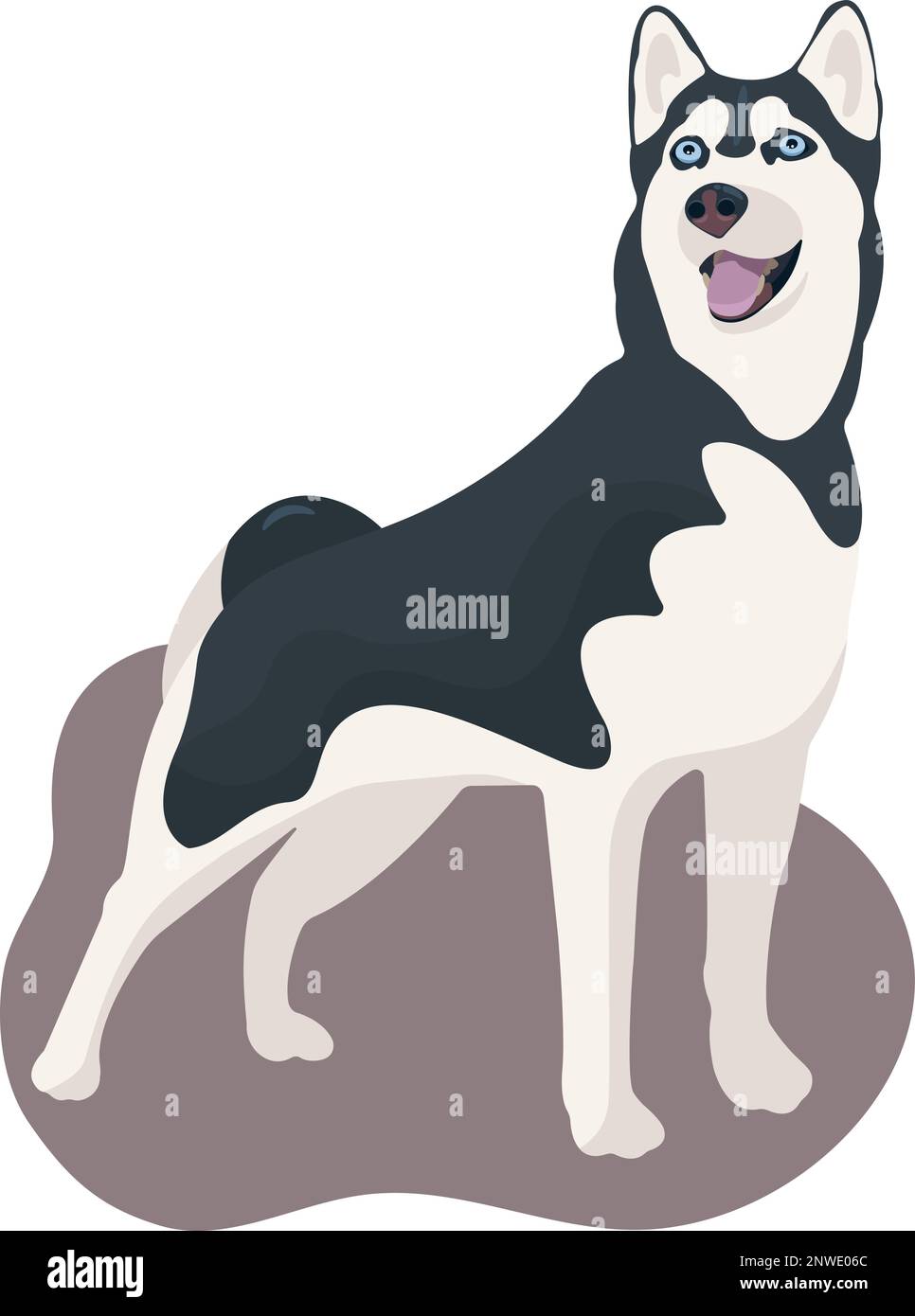White shepherd dog out Stock Vector Images - Alamy