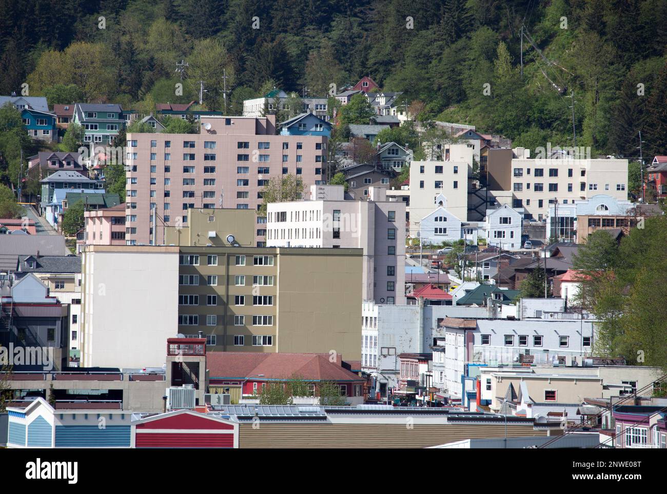 The springtime view of different buildings surrounded by wilderness in ...
