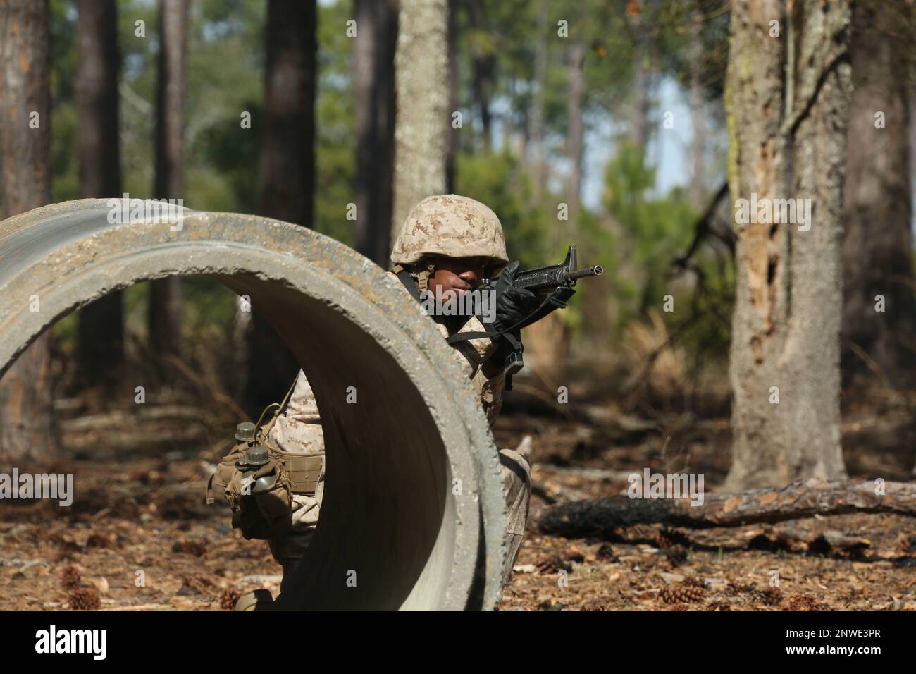 Recruits with Charlie Company, 1st Recruit Training Battalion, run ...