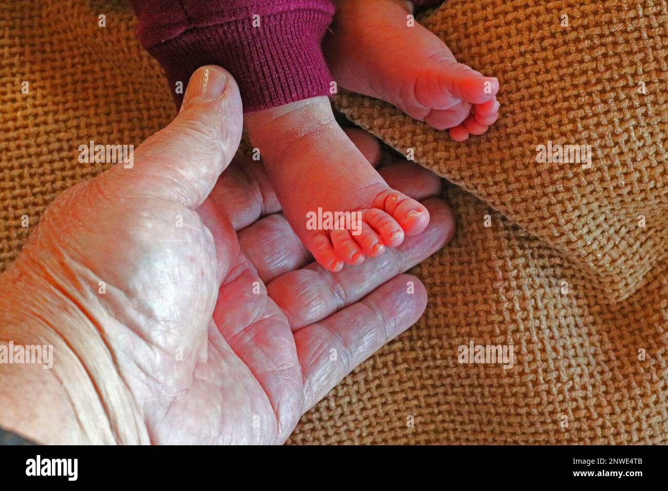 Newborn Baby With Big Feet at Walter Paul blog