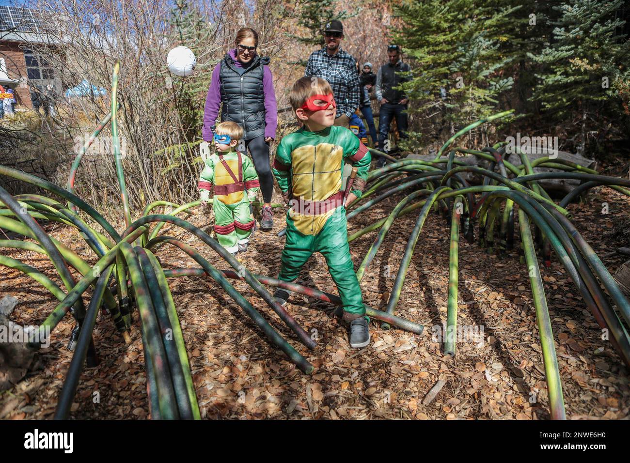 Kids walk through the haunted forest at the Walking Mountains Science ...