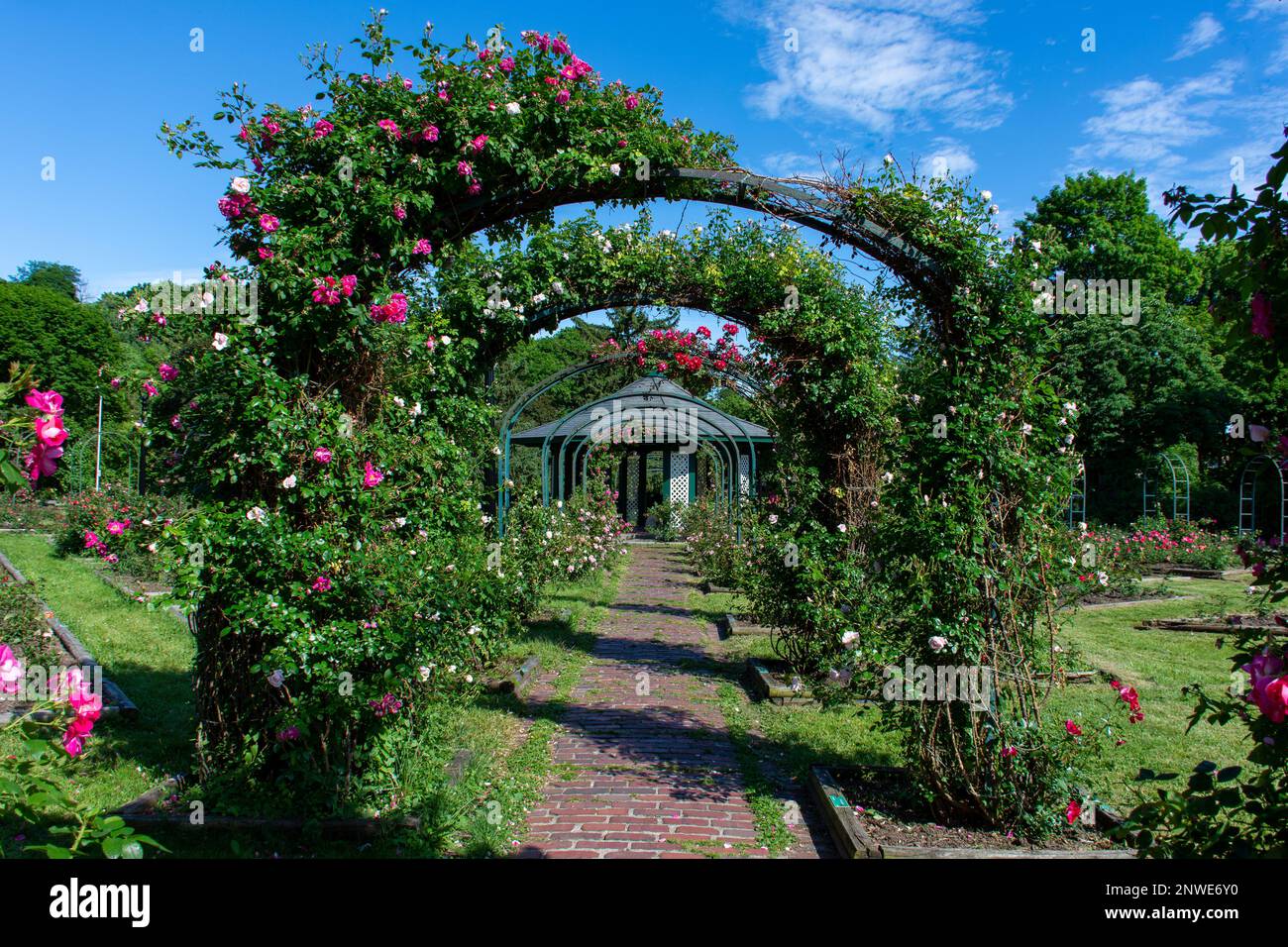 Rose garden gazebo and trellis hi-res stock photography and images - Alamy
