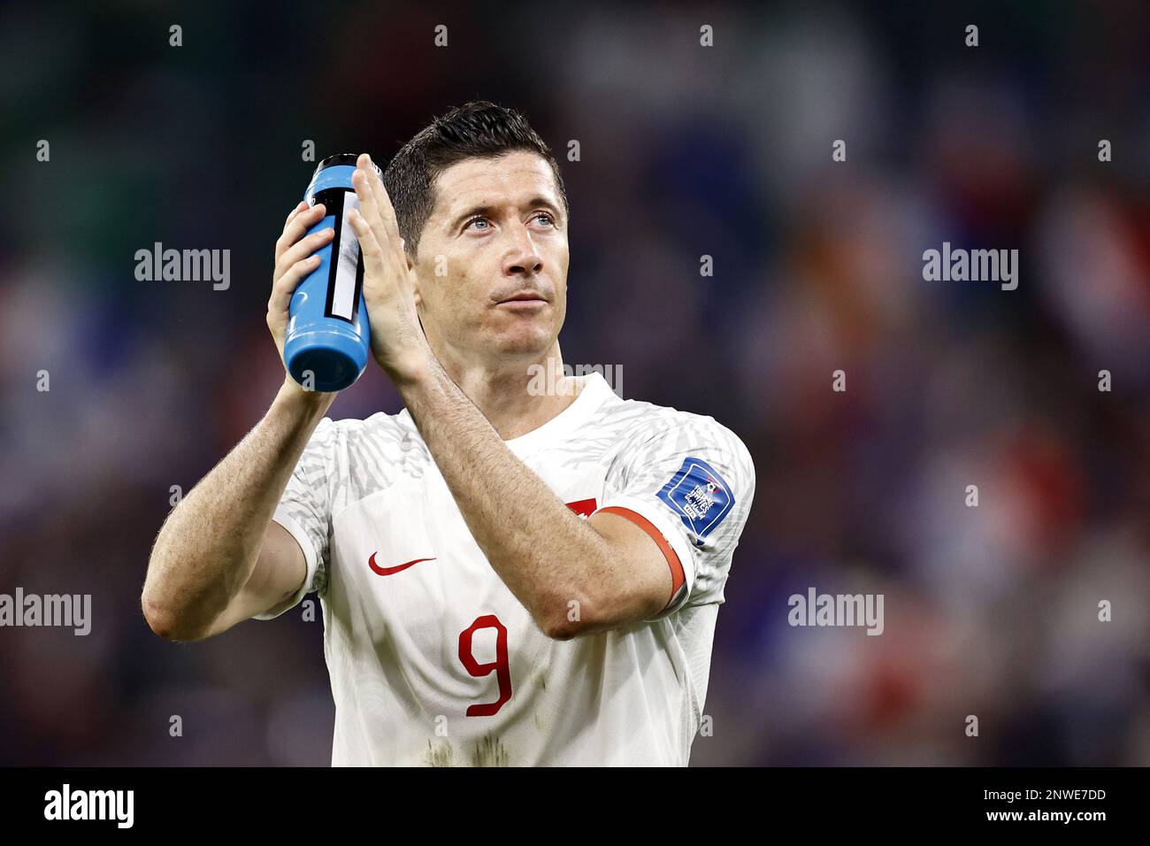DOHA - Robert Lewandowski of Poland during the FIFA World Cup Qatar ...
