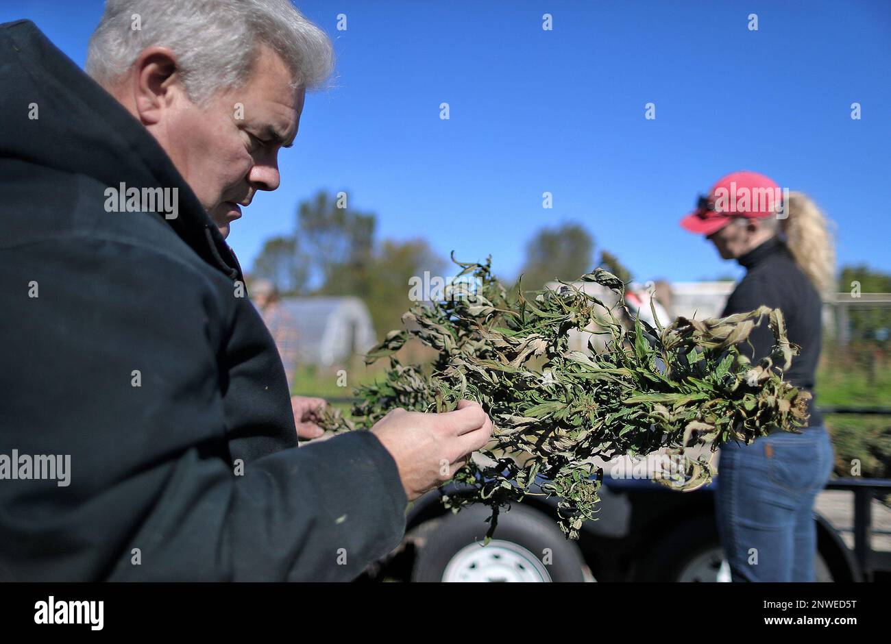In this Oct. 23, 2018, photo, Michael Fields Agricultural Institute ...