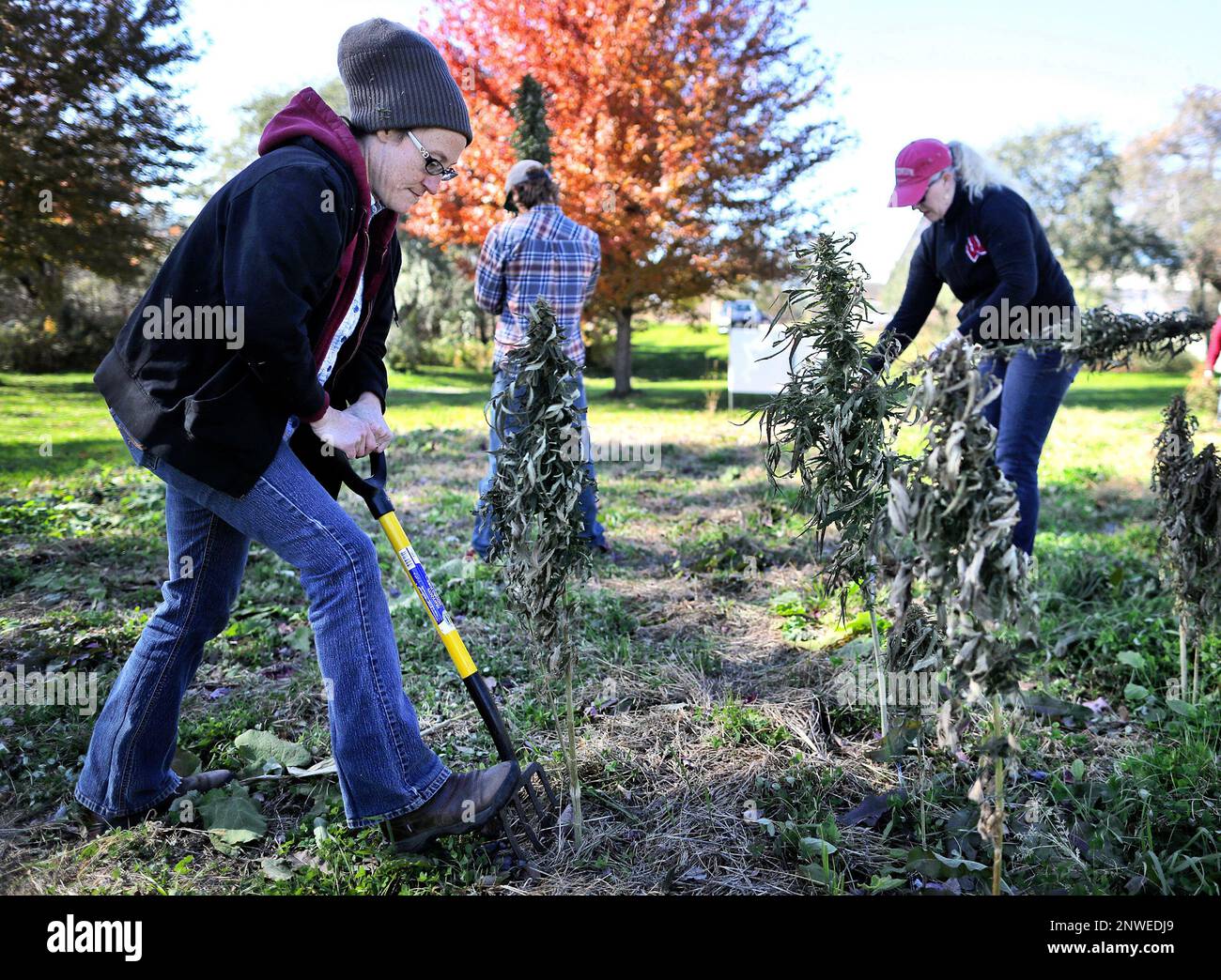 Michael Fields Agricultural Institute employees Allison Pratt-Szeliga ...