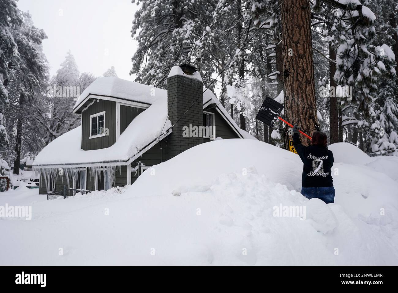 Michelle Shope Shoves Snow Outside Her Home In Running Springs Calif Tuesday Feb 28 2023