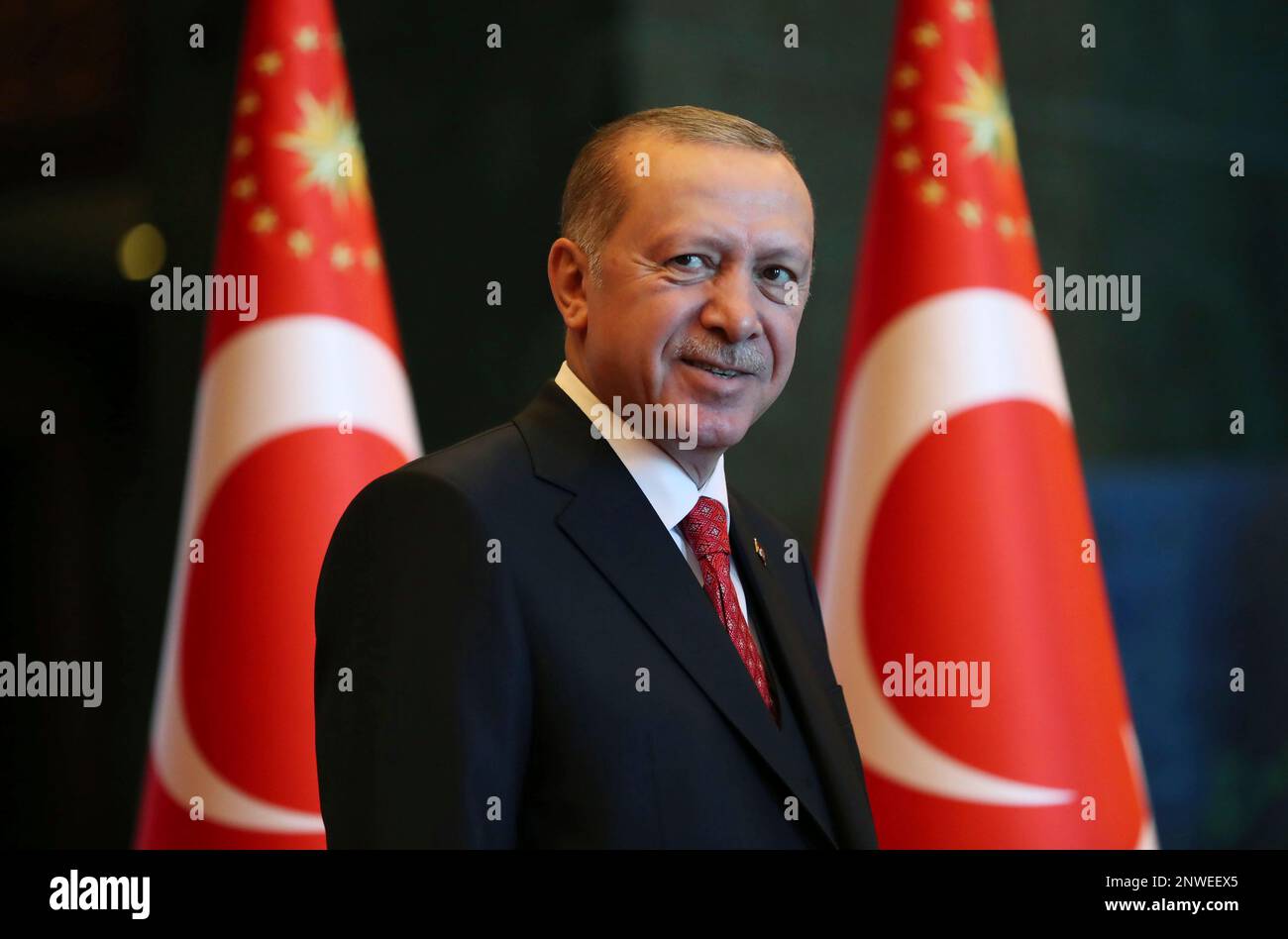 Turkey's President Recep Tayyip Erdogan smiles during a reception at ...