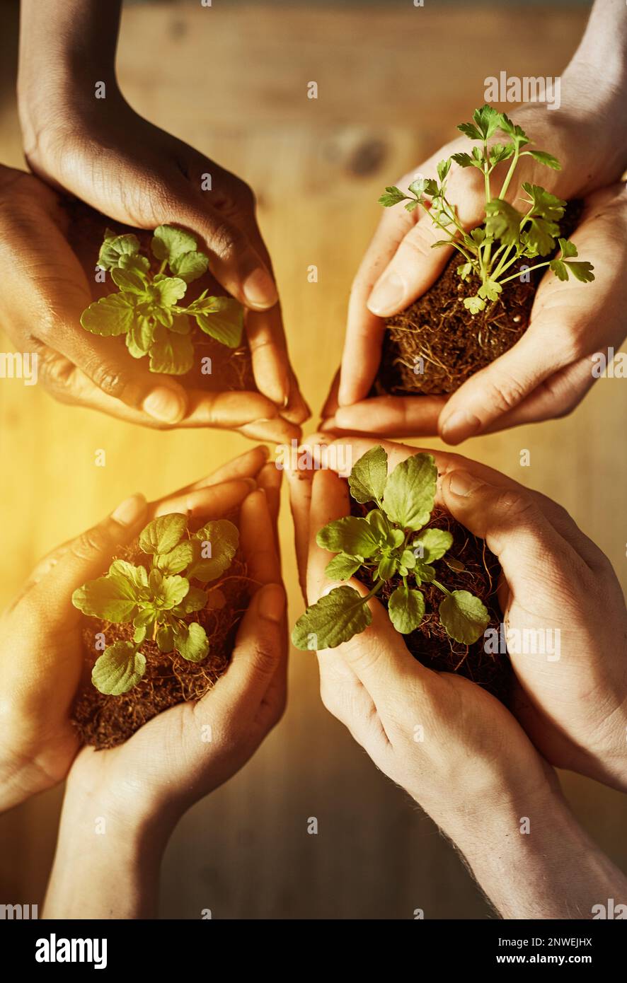 Come together and save our planet. Cropped shot of a group of people ...
