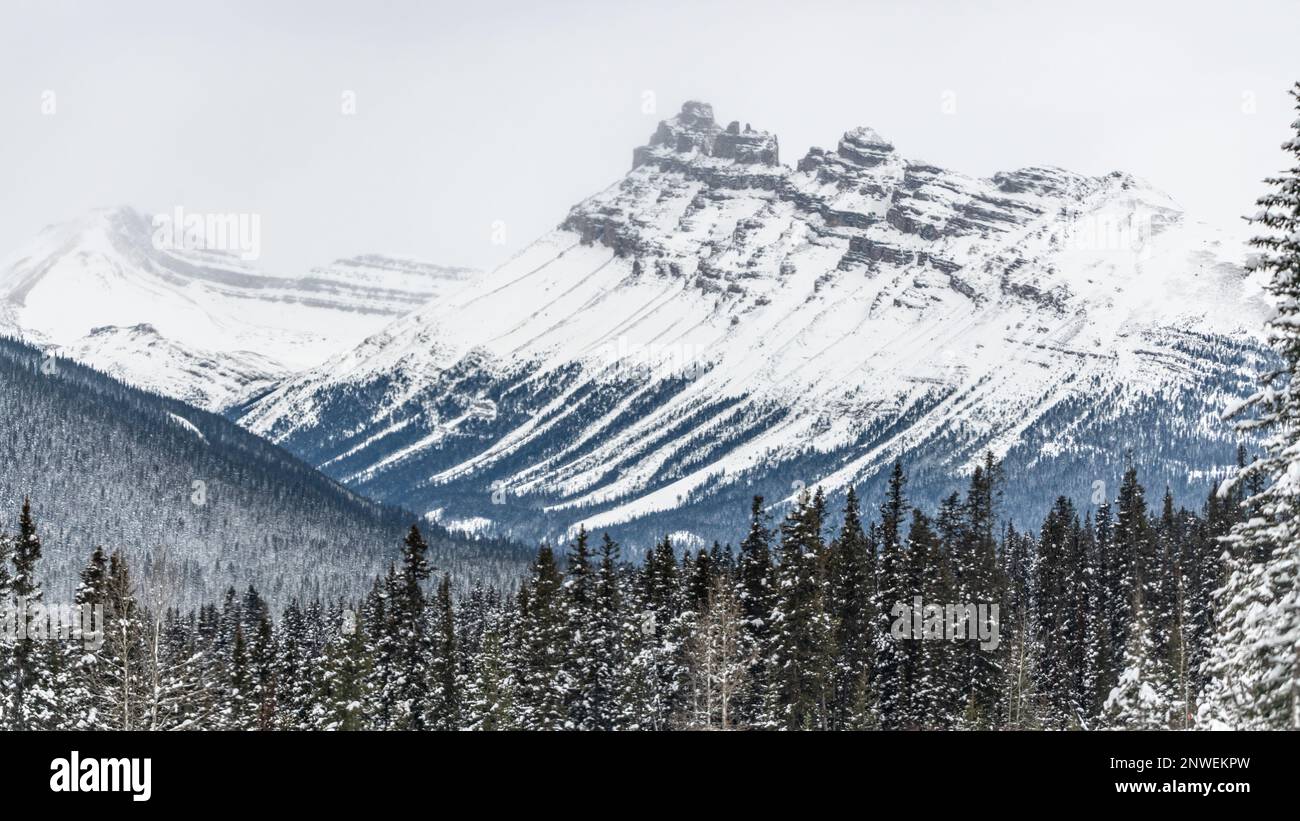Winter time views in Banff National Park during November with snow ...