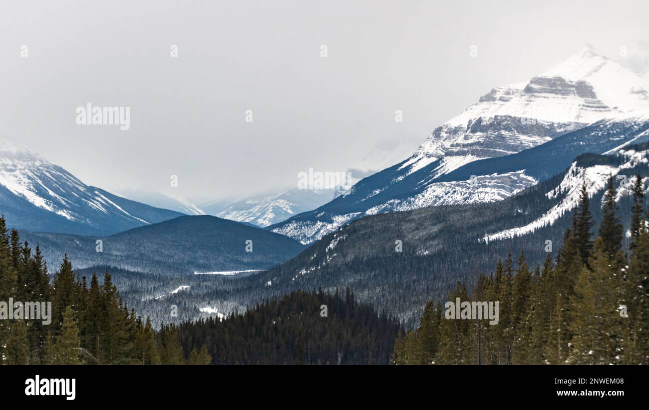 Winter time views in Banff National Park during November with snow ...
