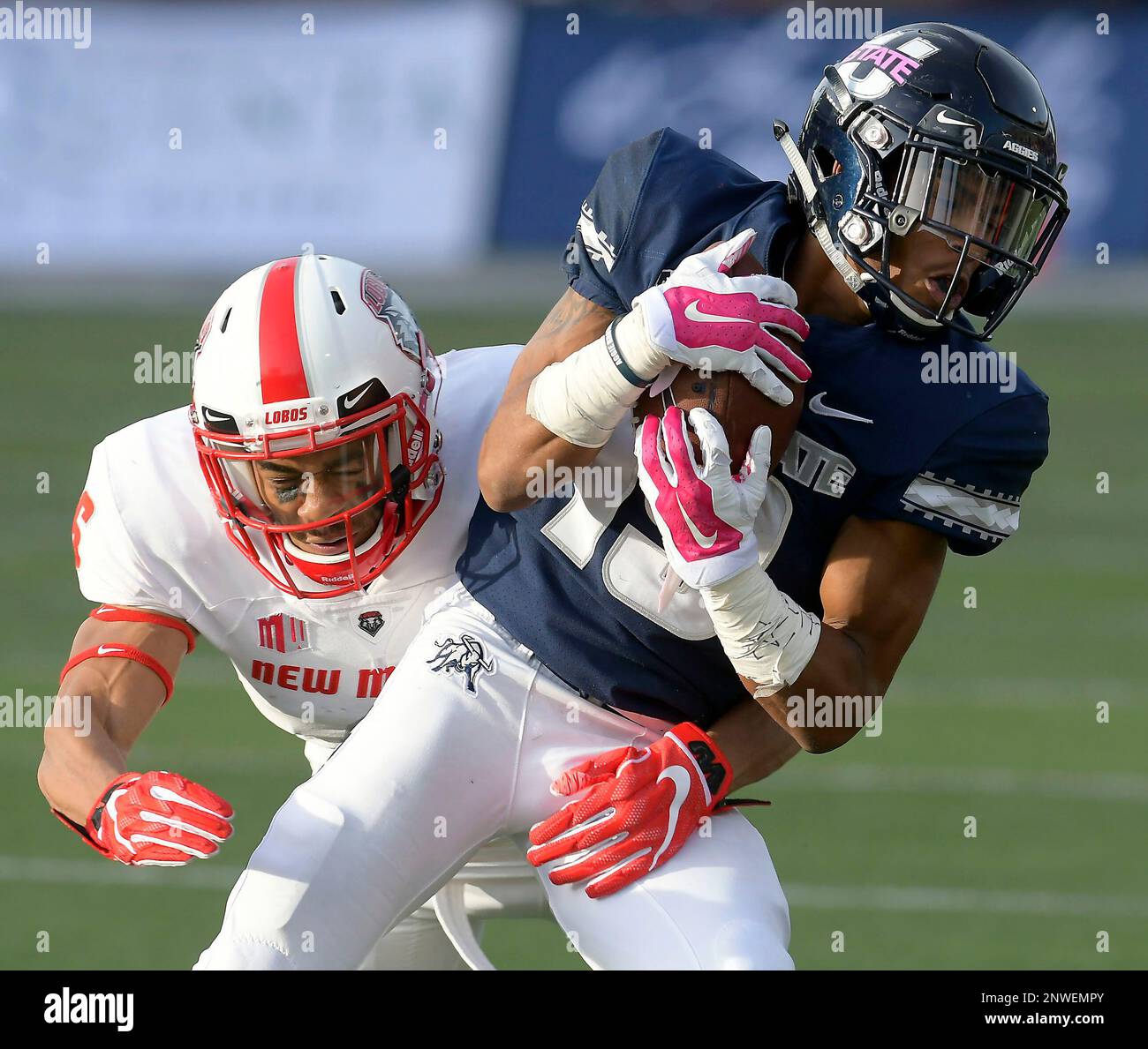 Utah State wide receiver Deven Thompkins (19) catches a pass as New ...