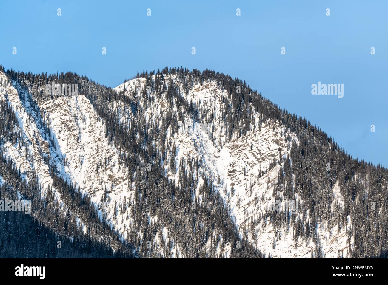 Winter time views in Banff National Park during November with snow ...