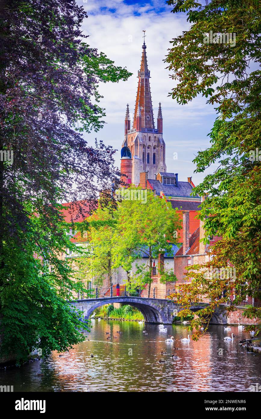 Bruges, Belgium. The Church of Our Lady in Brugge, Flanders is a ...
