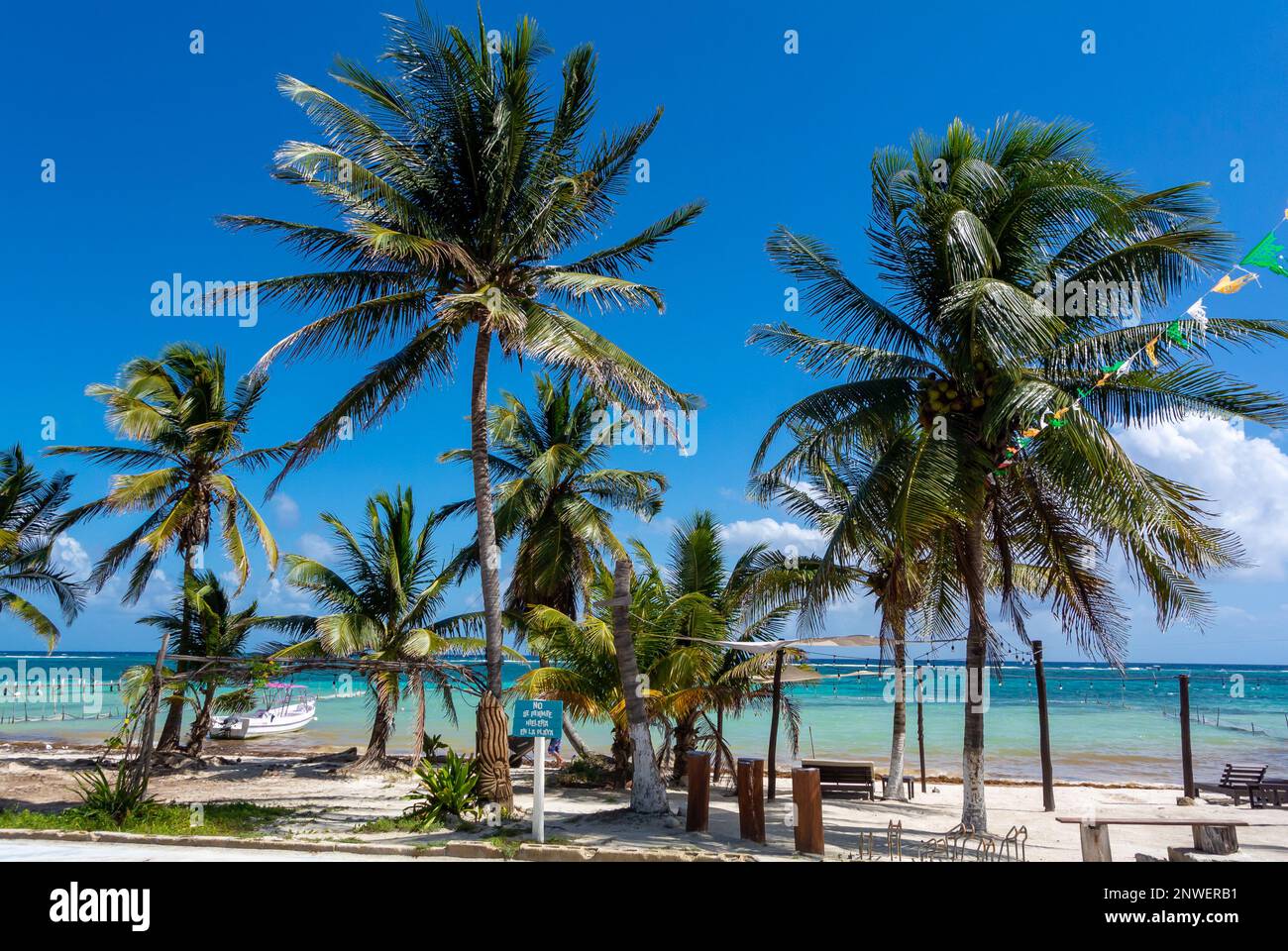 Mahahual, Quintana Roo, Mexico, A landscape with palm trees on Mahahual ...
