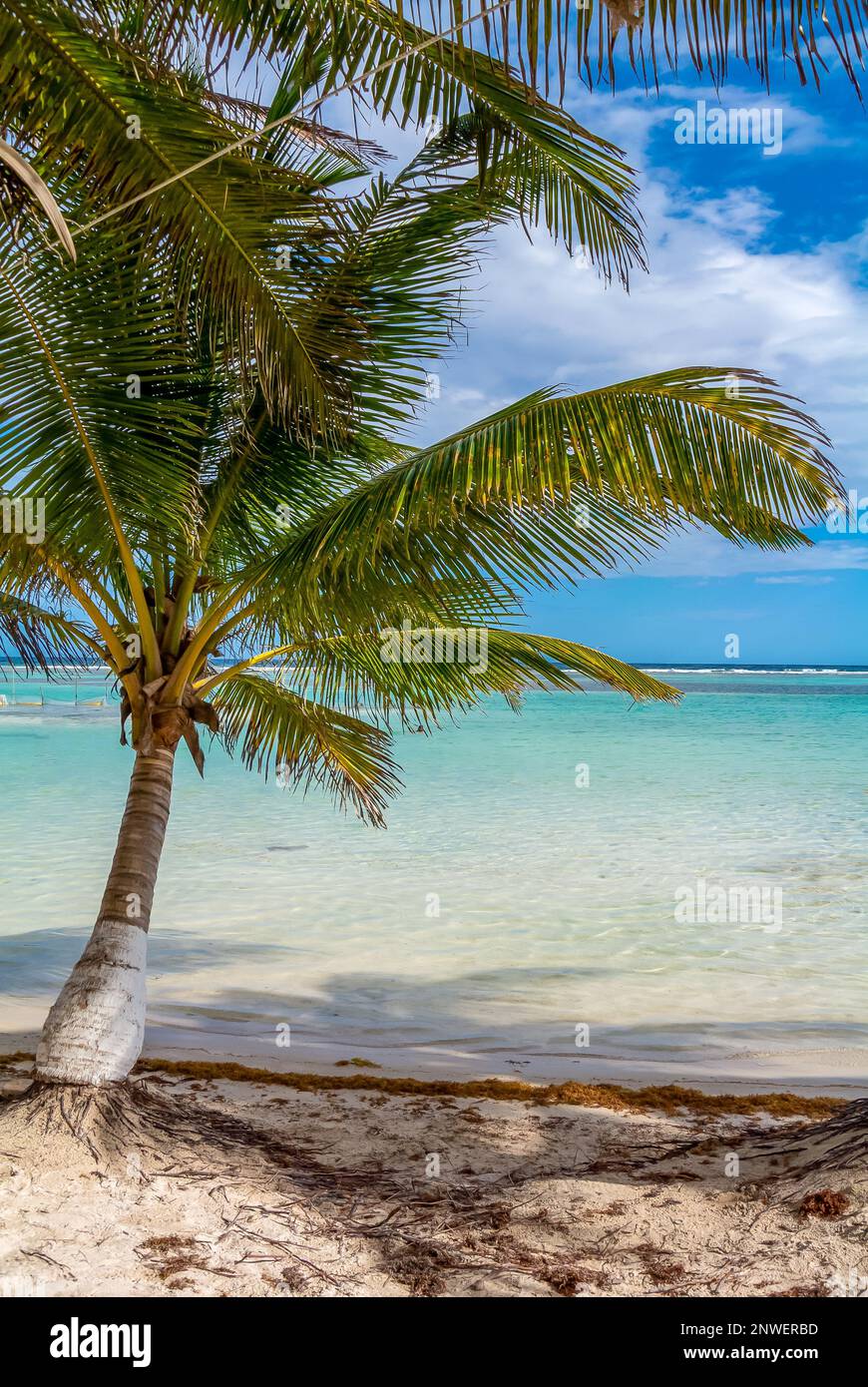 Mahahual, Quintana Roo, Mexico, beach club with long chairs and ...