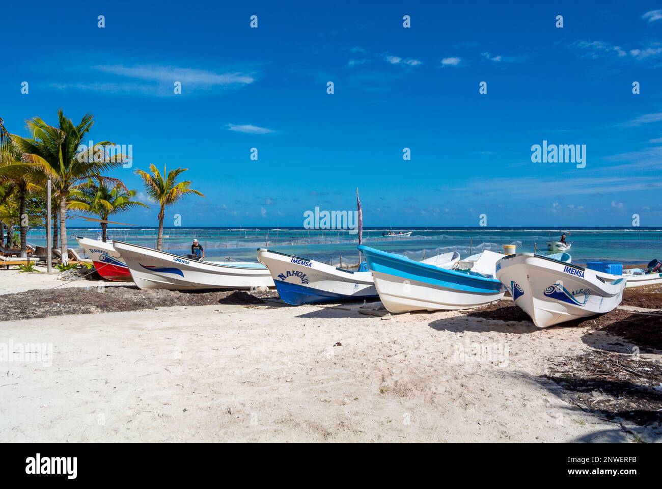 Mahahual, Quintana Roo, Mexico, A landscape with boats and palm trees ...