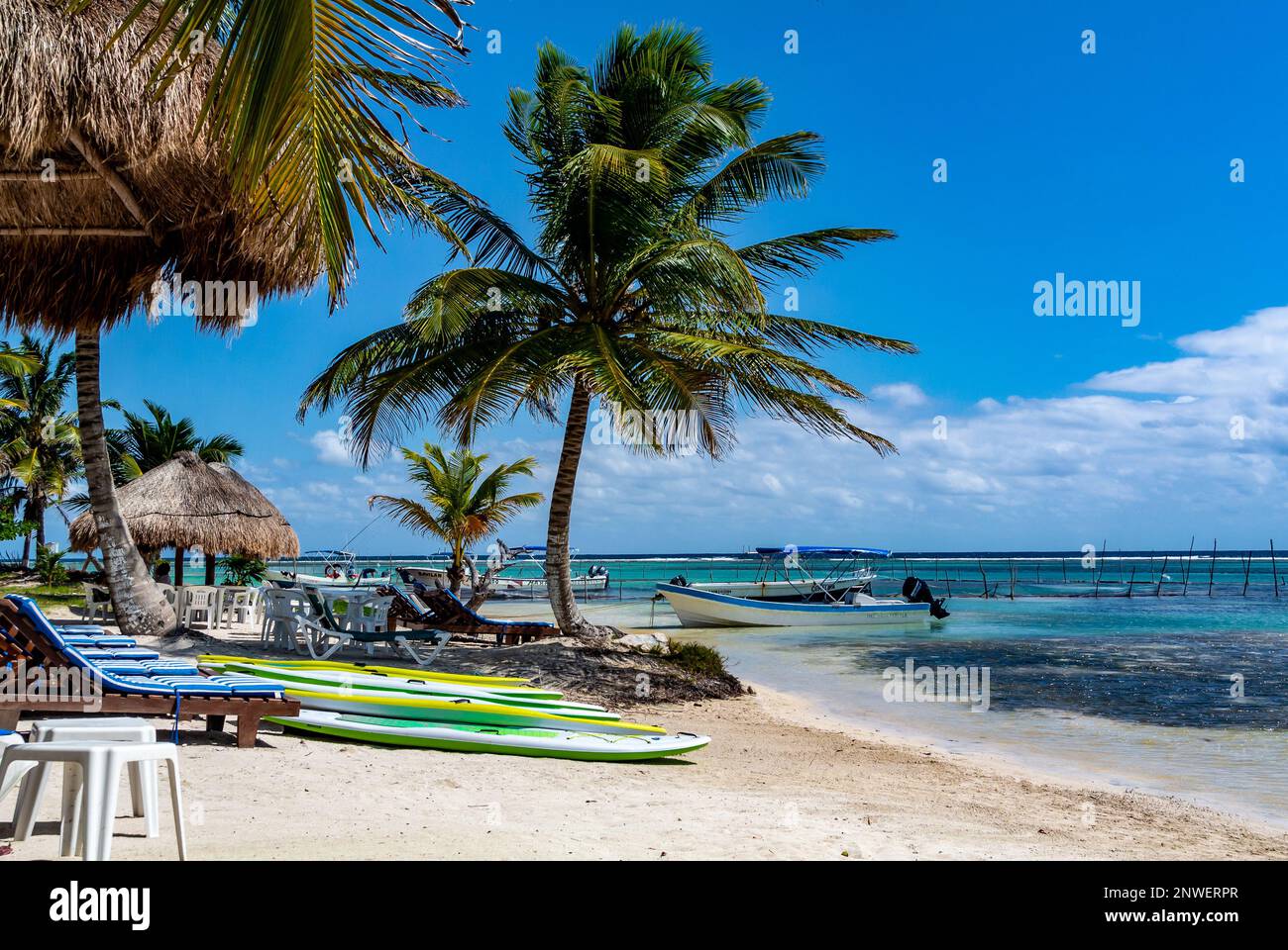 Mahahual, Quintana Roo, Mexico, palm trees on Mahahual beach Stock ...