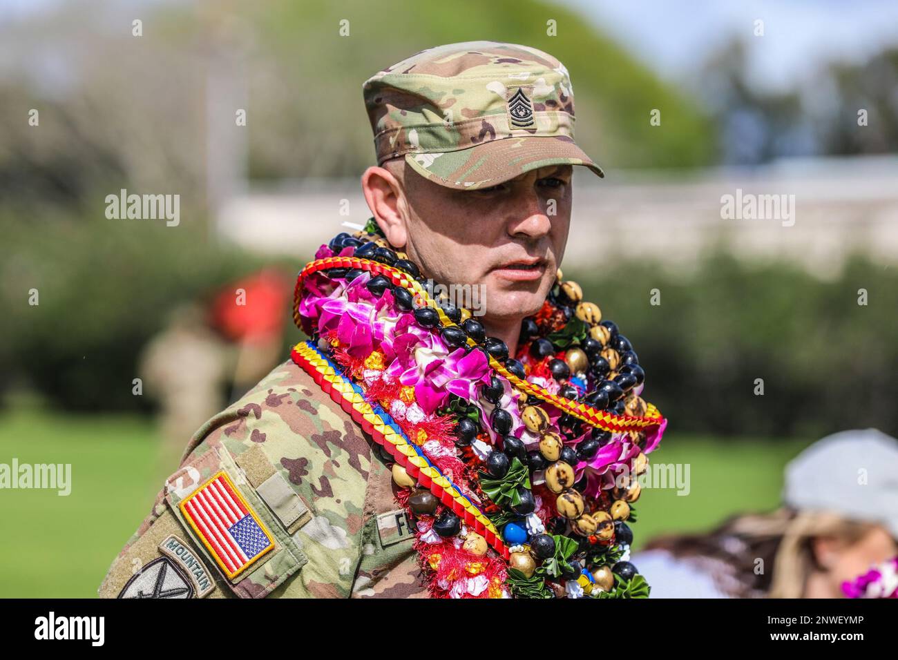 The 25th Infantry Division Artillery (DIVARTY) Command Sgt. Maj Paul ...