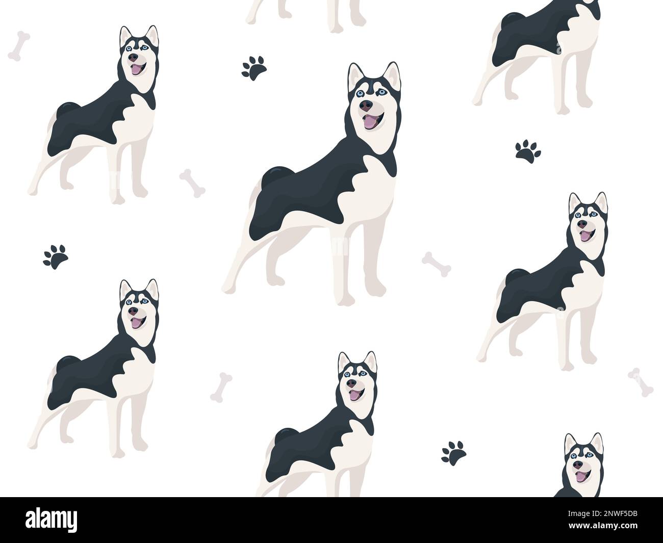 Seamless pattern with vector black and white dog Siberian Husky ...