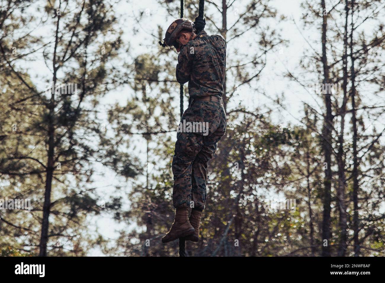 A U.S. Marine with Battalion Landing Team 1/6, 26th Marine ...