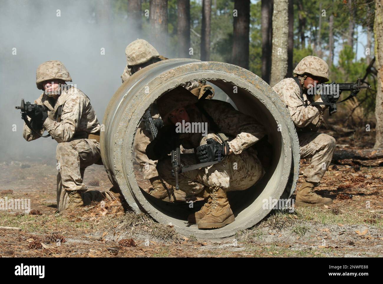 Recruits with Charlie Company, 1st Recruit Training Battalion, run ...