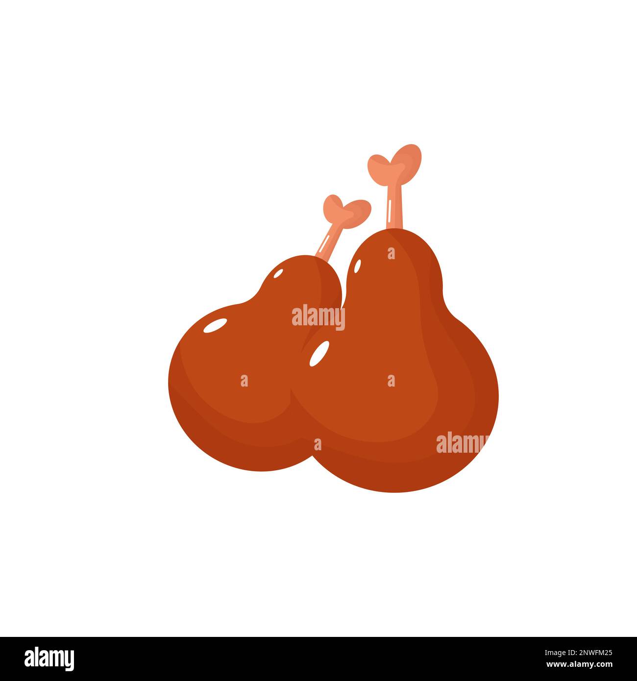 Jewish holiday Passover, Pesach. Chicken icons and symbols on white ...