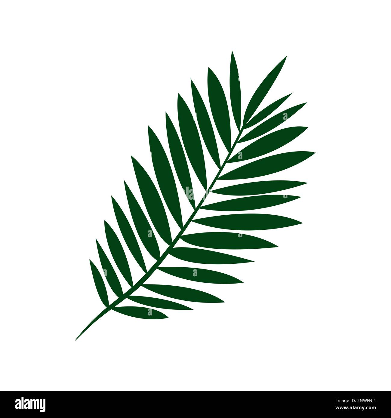 Jewish holiday Passover, Pesach. Palm icons and symbols on white ...