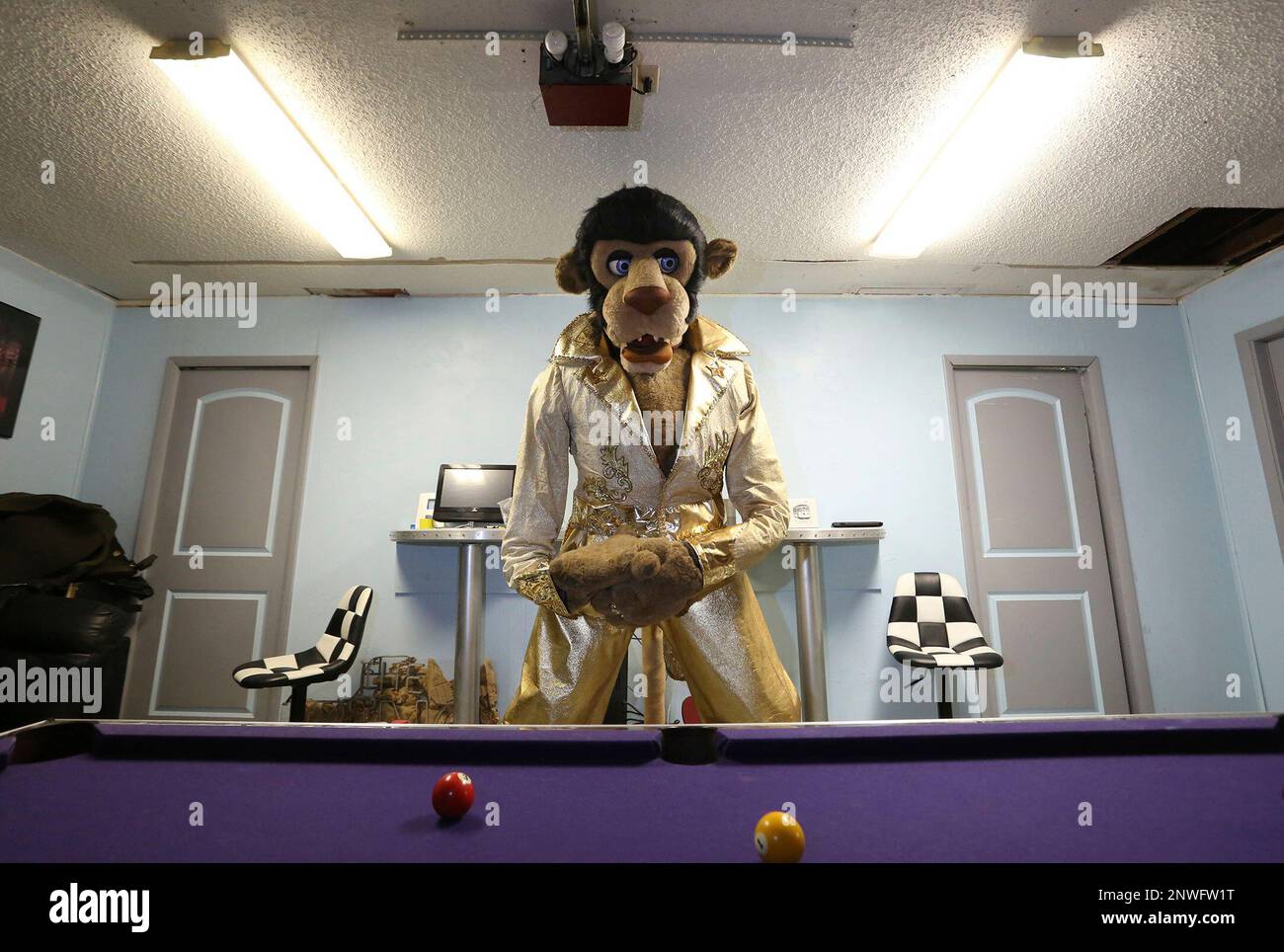 This photo taken Sept. 17, 2018, shows 'King John' which is Jared ...