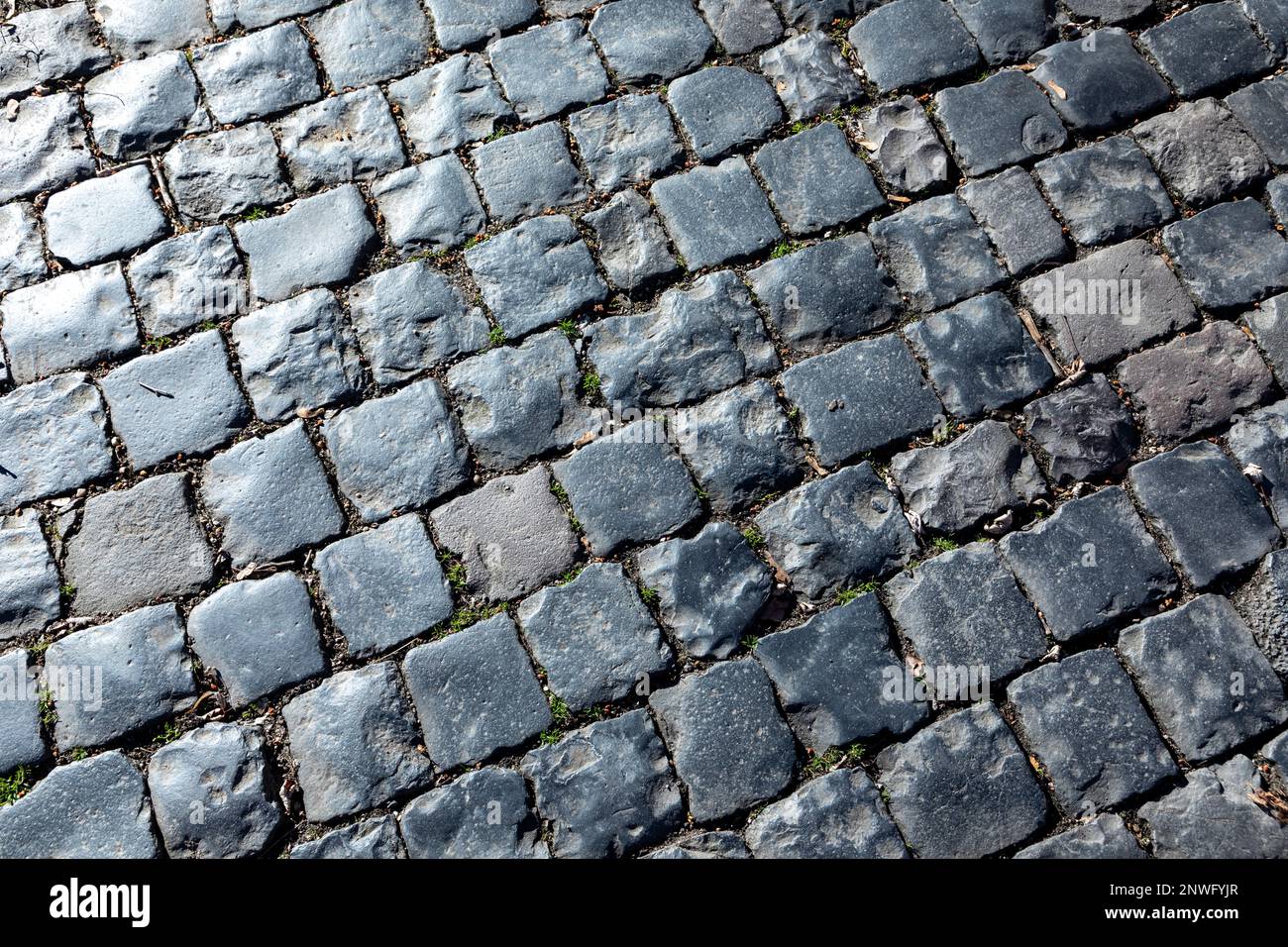 pattern of old historic cobble stones at the street in harmonic light ...