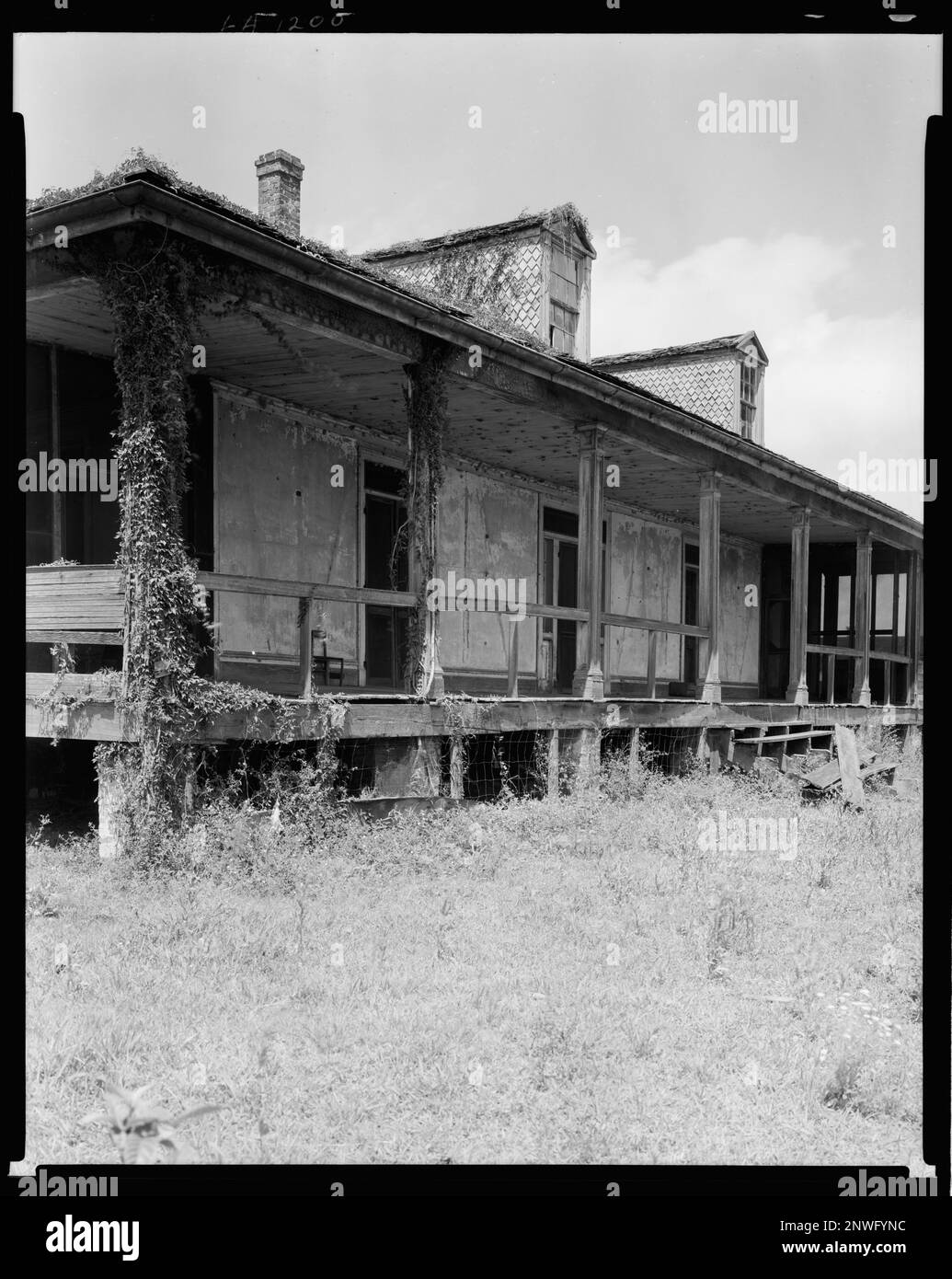 Bull Plantation, Louisiana. Carnegie Survey of the Architecture of the ...