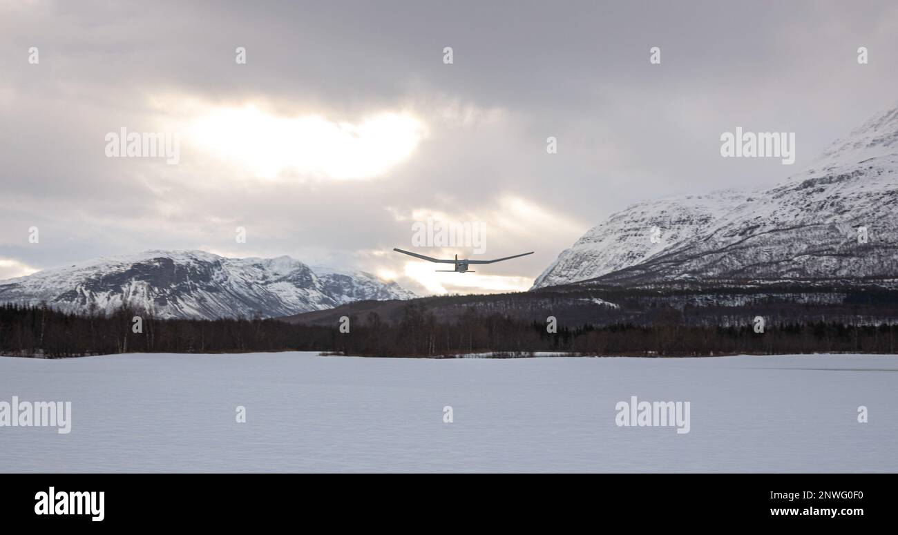 U.S. Marines with 2d Combat Engineer Battalion, 2d Marine Division ...