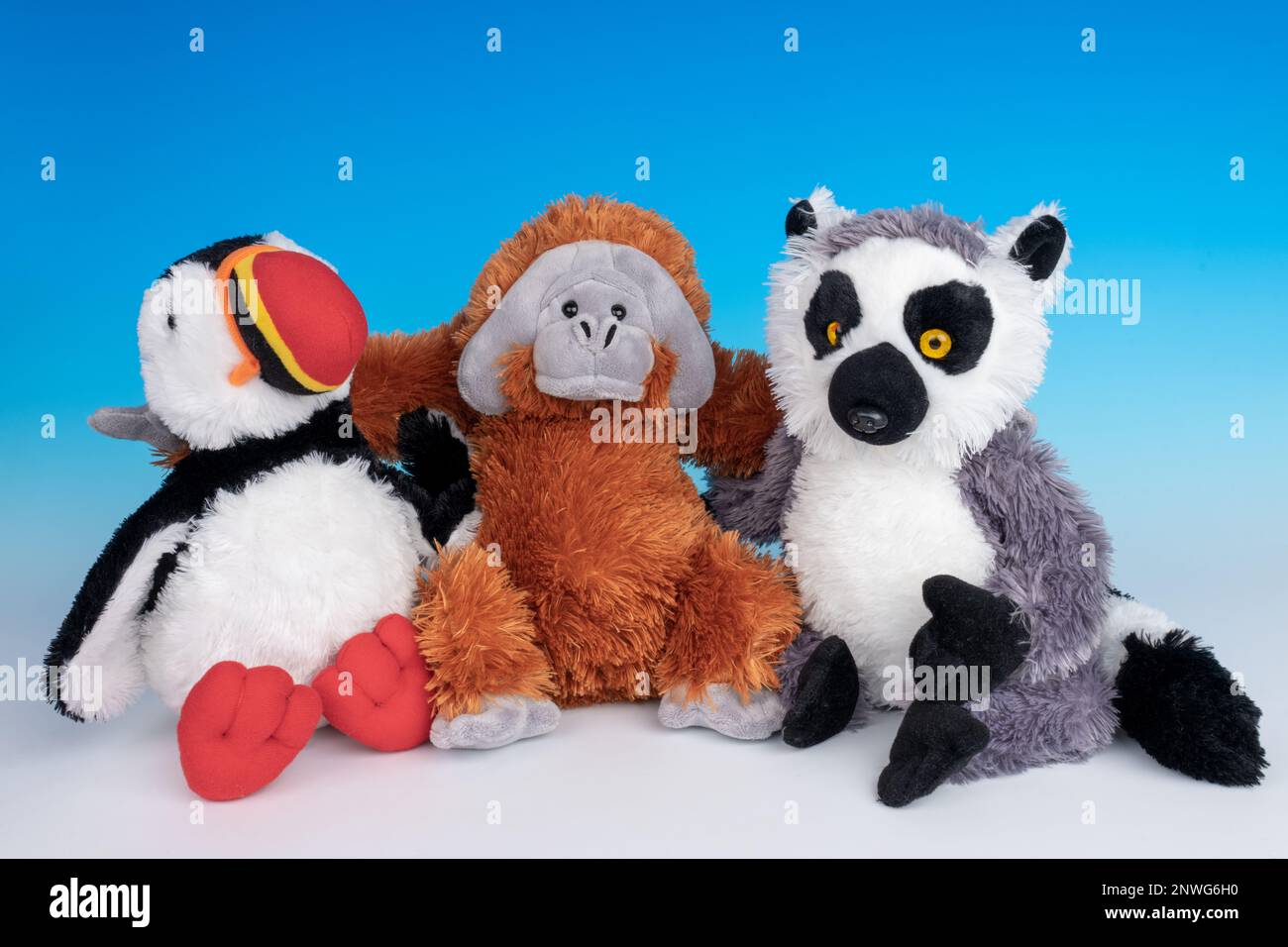 Three friendly stuffed animals (Atlantic Puffin, Orangutan and Ring ...