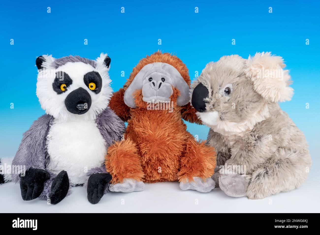 Three friendly stuffed animals (Atlantic Puffin, Orangutan and Koala ...