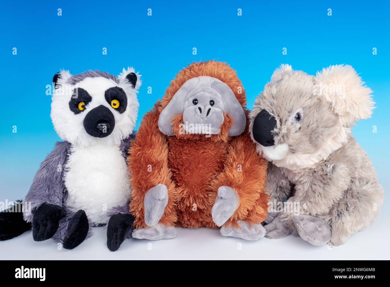 Three friendly stuffed animals (Atlantic Puffin, Orangutan and Koala ...