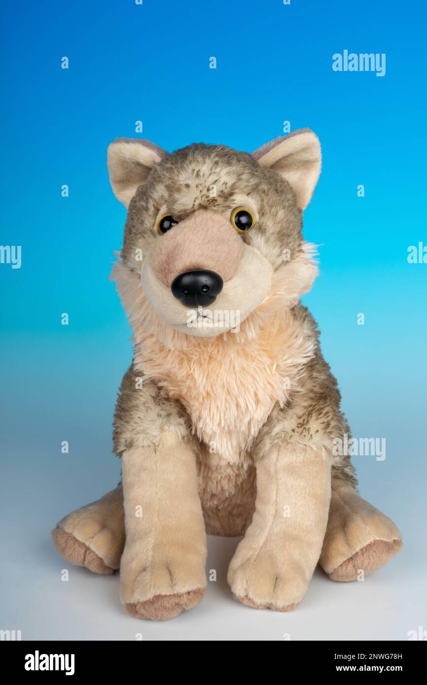 Wolf stuffed animal on a blue and white seamless background Stock Photo ...