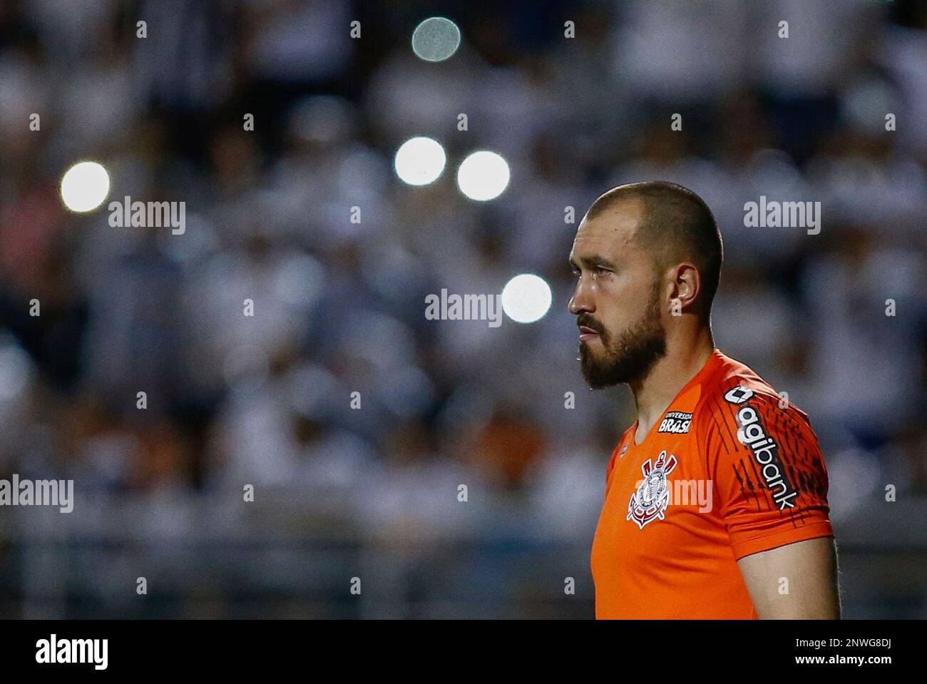 SP - Sao Paulo - 10/13/2018 - Brazilian A 2018, Santos vs. Corinthians ...