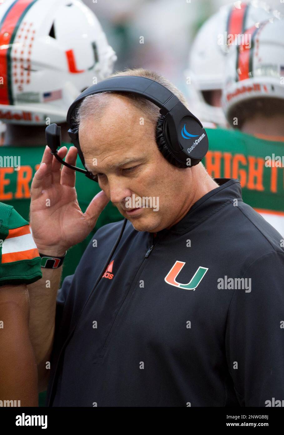 University of miami hurricanes football head coach hi-res stock ...