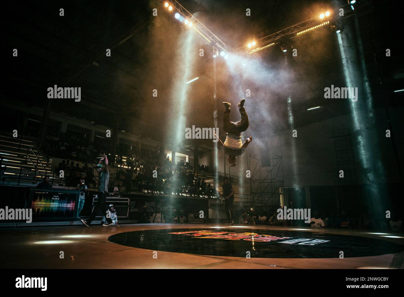 Take a look at Red Bull content in new and creative ways with evergreen collections curated by ...