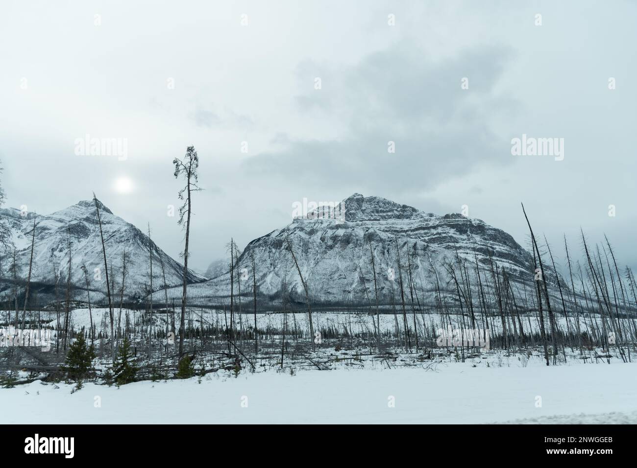 Amazing landscape views in Alberta during winter time with snow covered ...