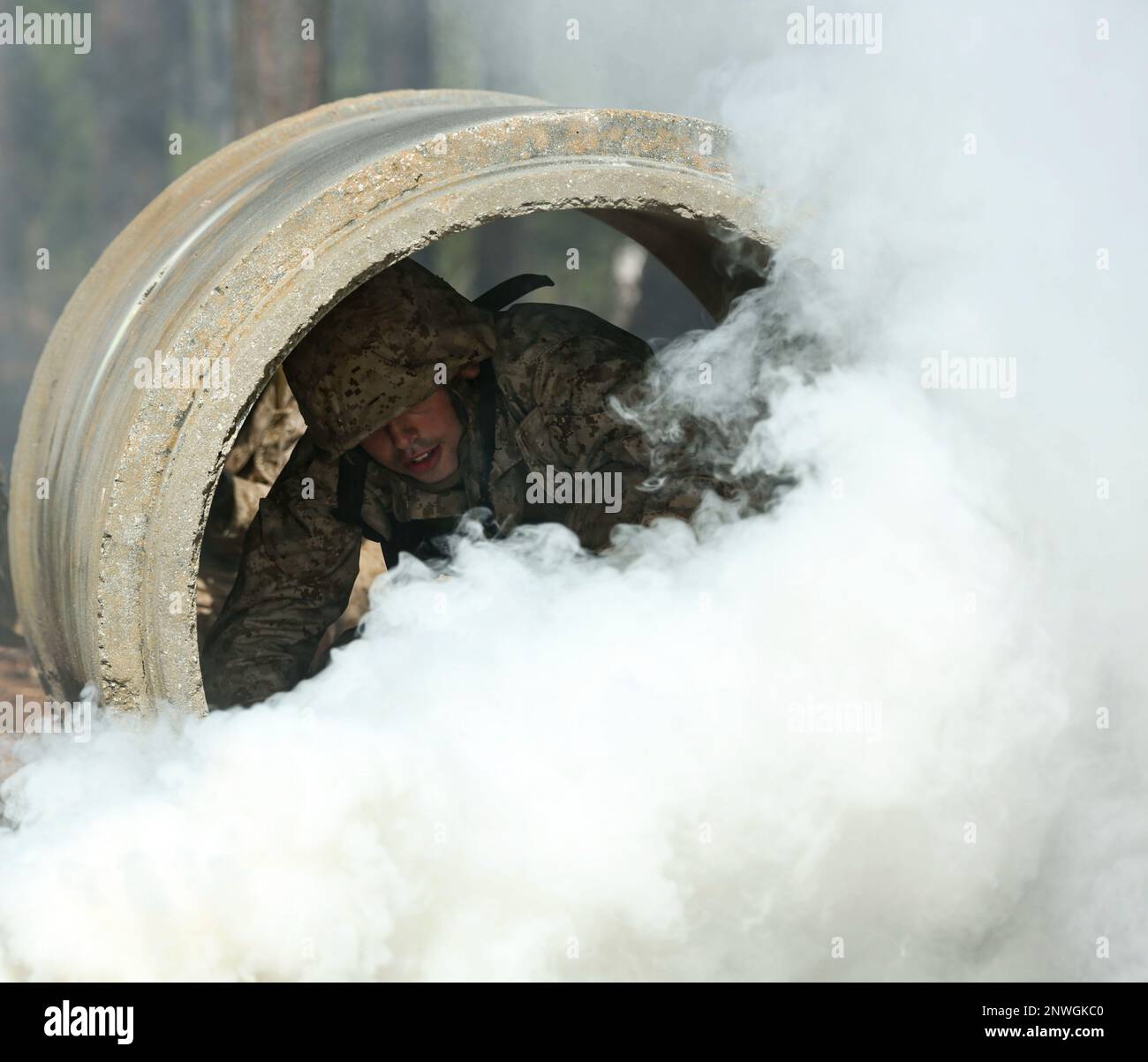 Recruits with Charlie Company, 1st Recruit Training Battalion, run ...