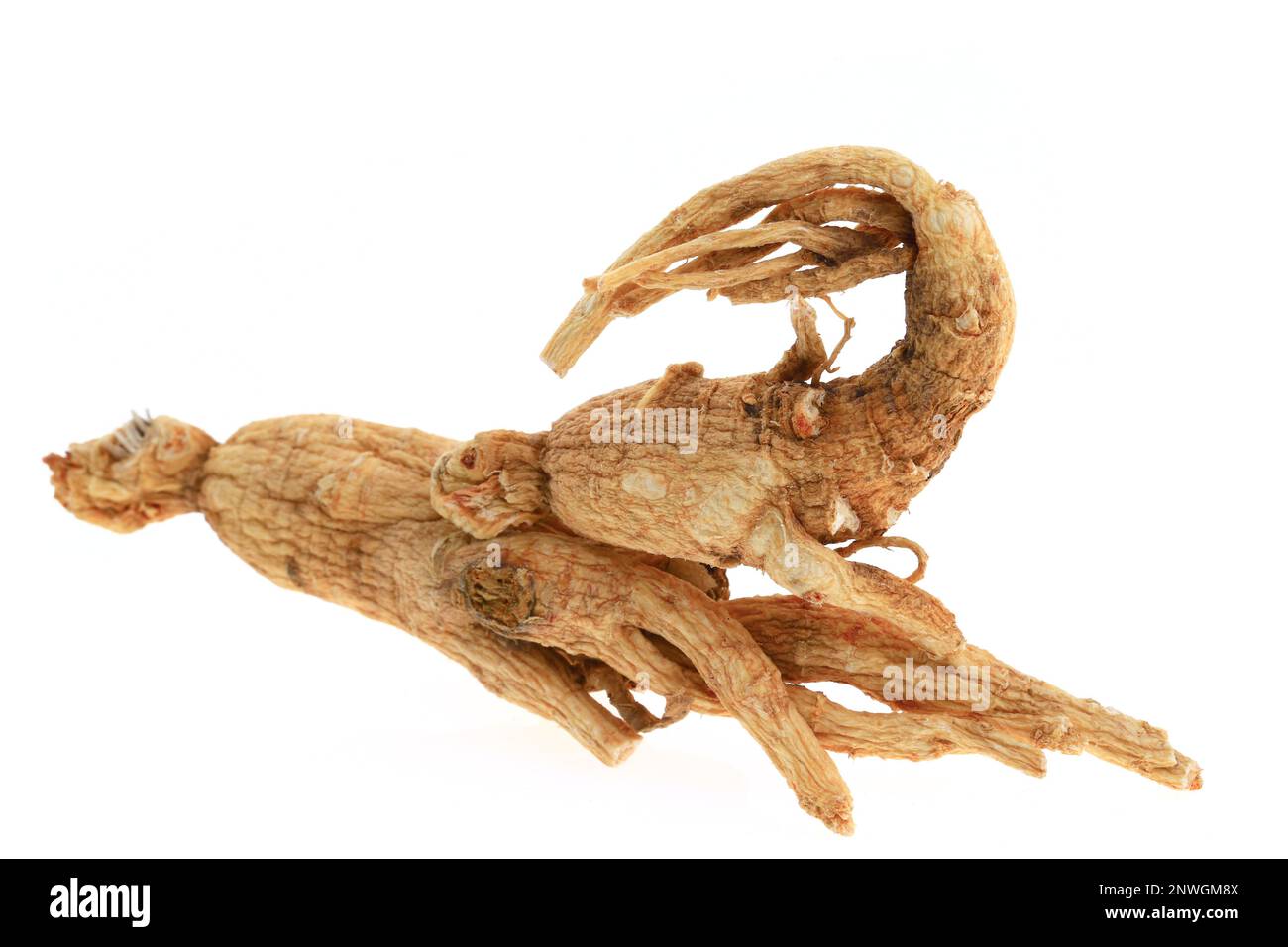 Ginseng on a white background Stock Photo - Alamy