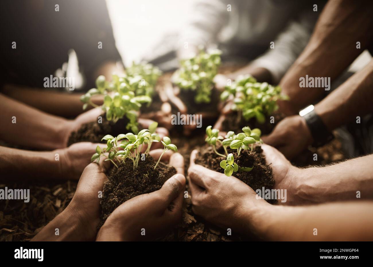 Lets plant our future together. Cropped shot of a group of people ...